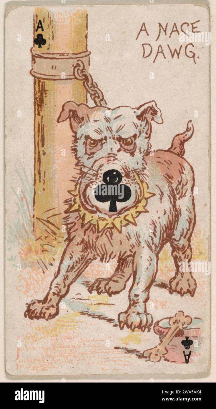 Ace of Clubs, A Nace Dawg, from Harlequin Cards, 2nd Series (N220 ...
