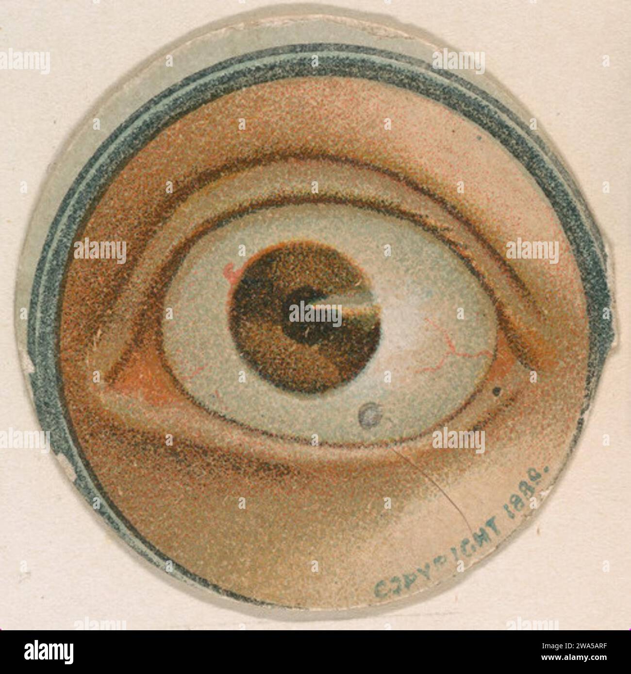 Monocle and Eye (brown), from Jocular Ocular series (N221) issued by ...