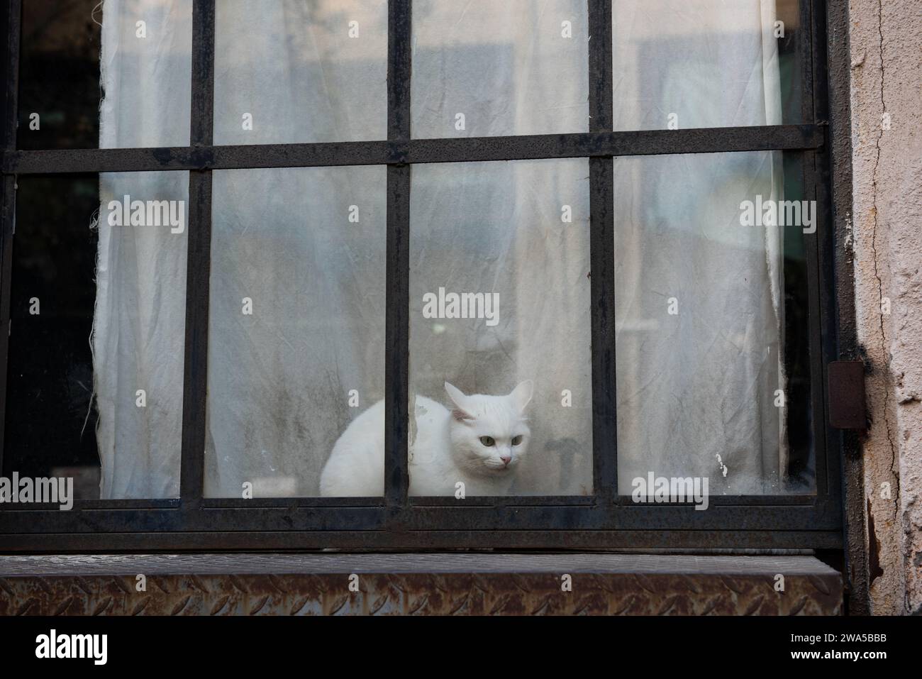 Yhalevi copy space hi-res stock photography and images - Alamy