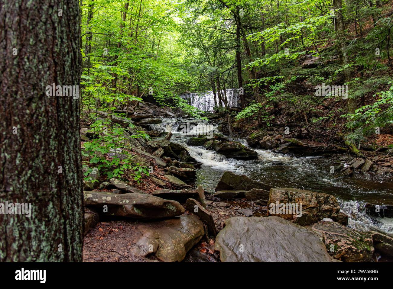 Cascades following Oneida Falls Stock Photo - Alamy