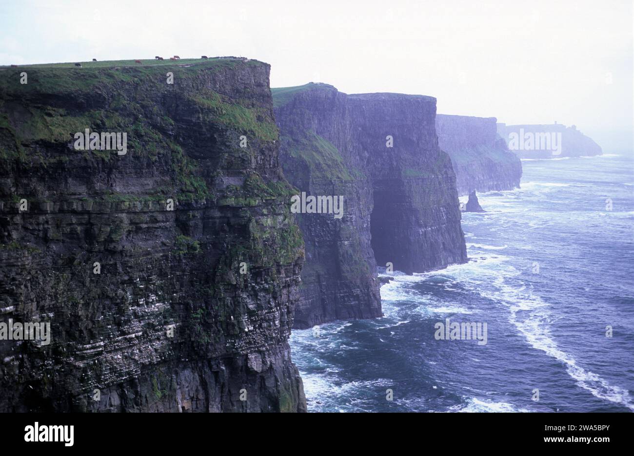 Ireland, County Clare, the Cliffs of Moher, Ireland's most spectacular ...
