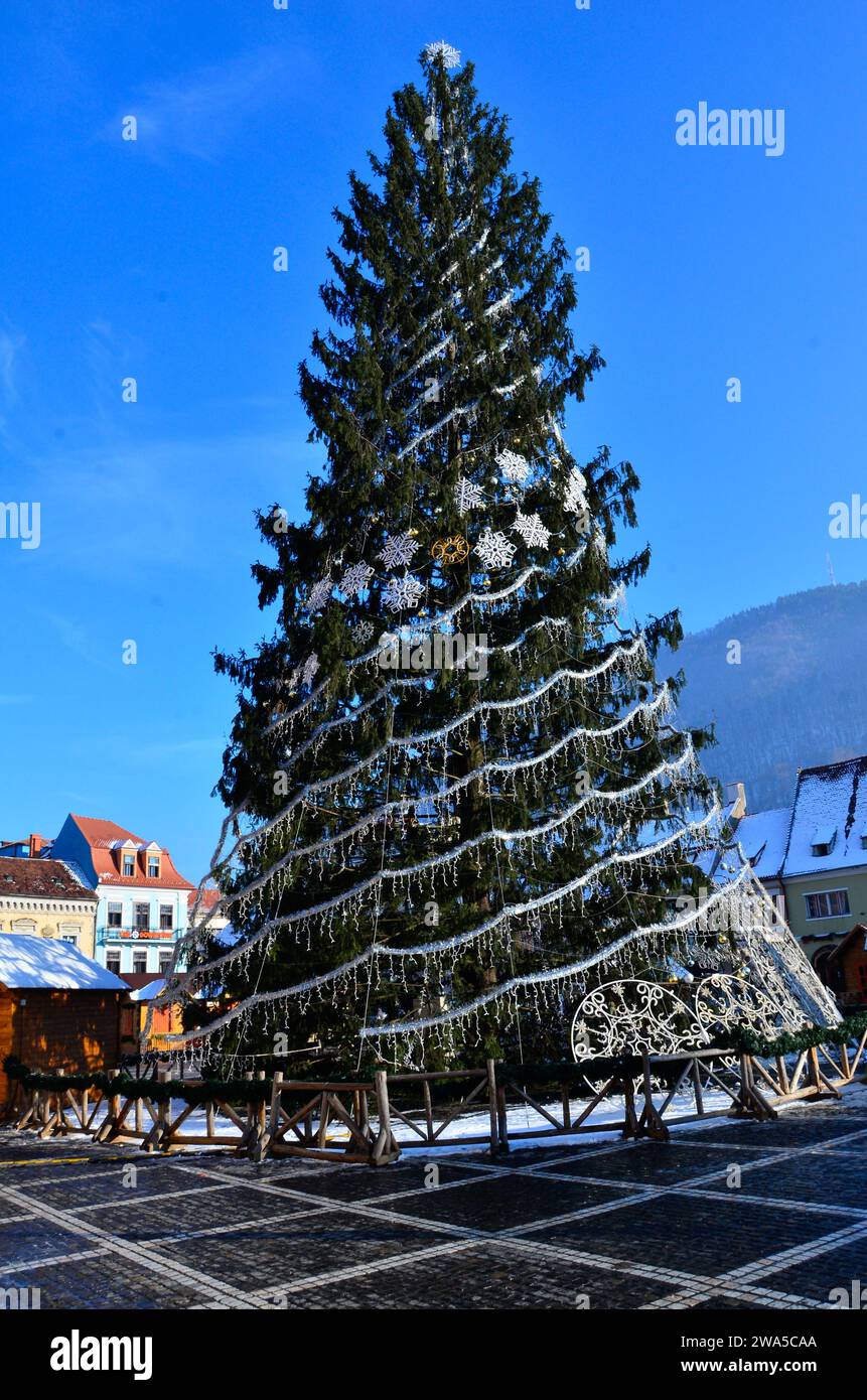 Christmas tree in brasov Stock Photo - Alamy