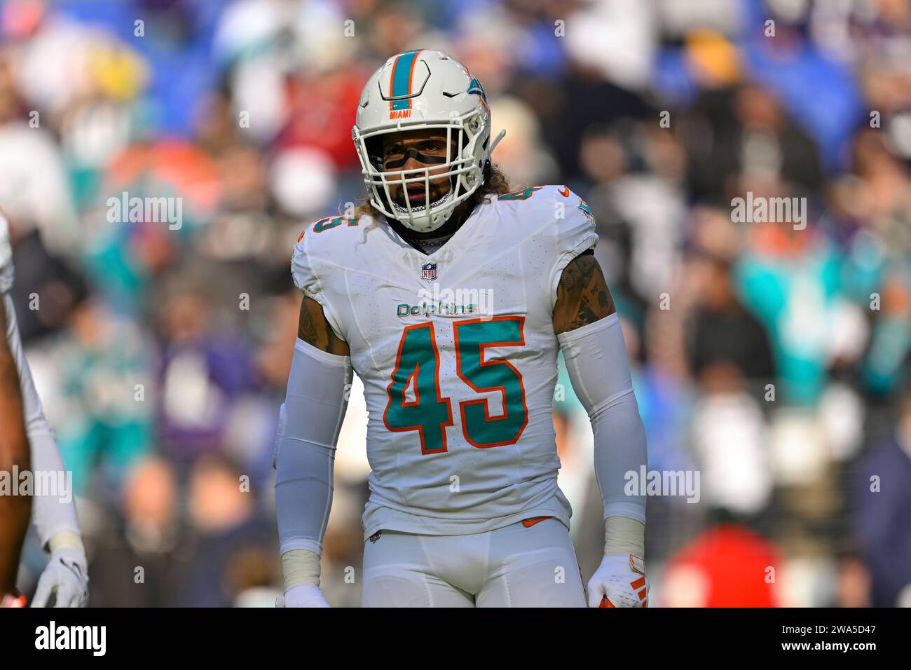 Miami Dolphins linebacker Duke Riley (45) looks on during pre-game warm ...