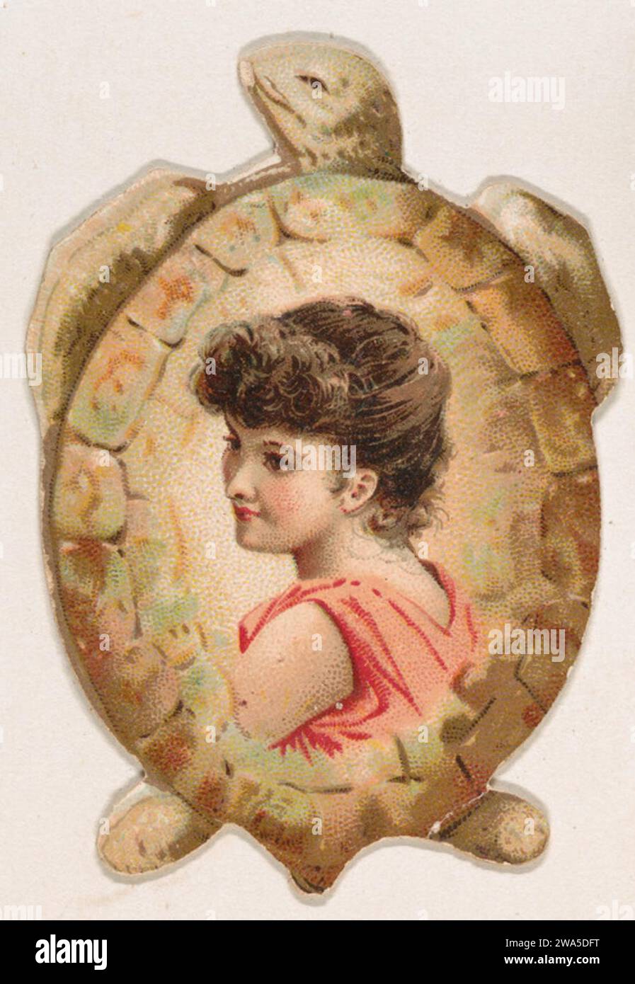 Turtle, from the Novelties series (N228, Type 3) issued by Kinney Bros ...