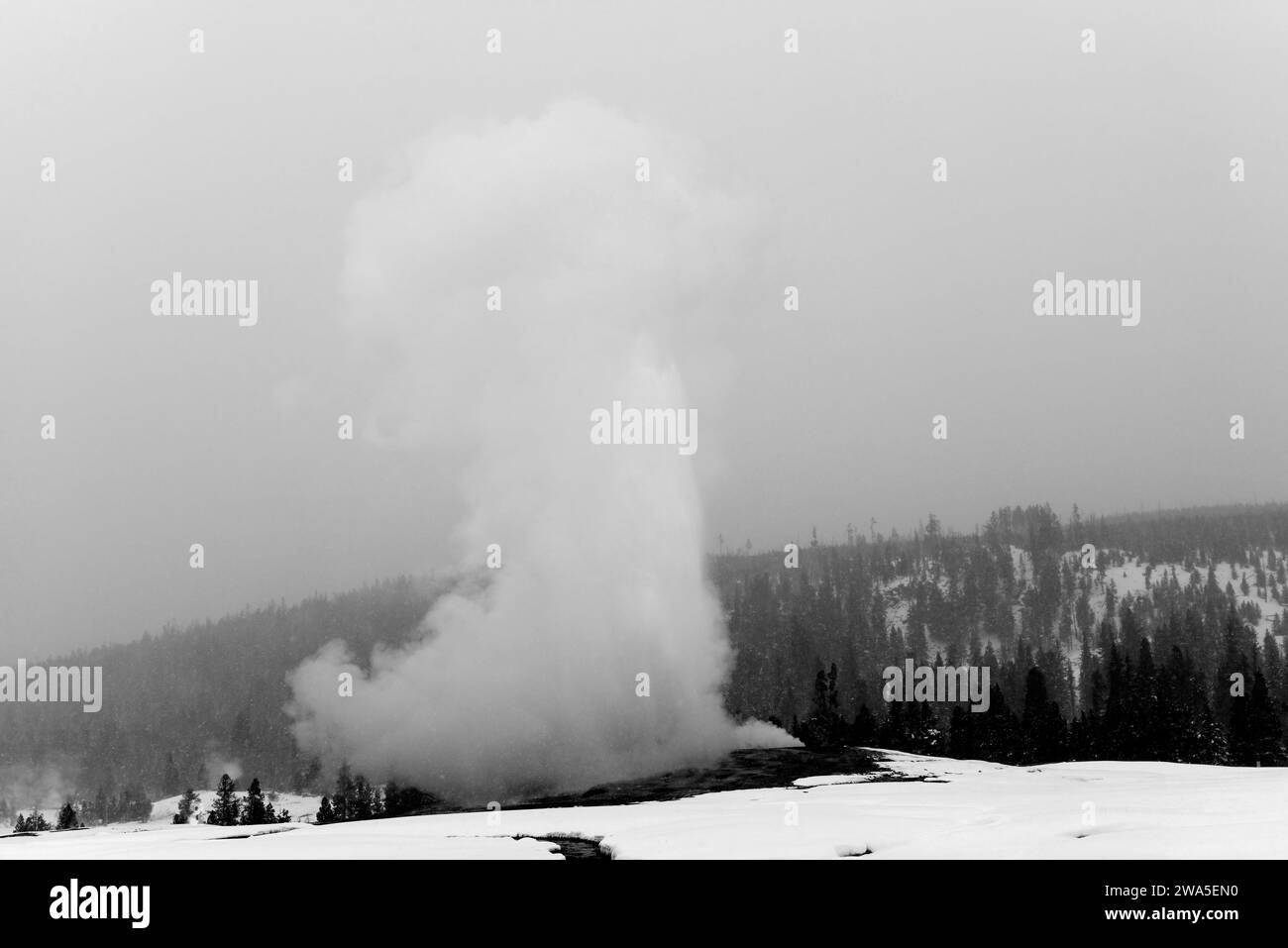 Old faithful erupt Black and White Stock Photos & Images - Alamy
