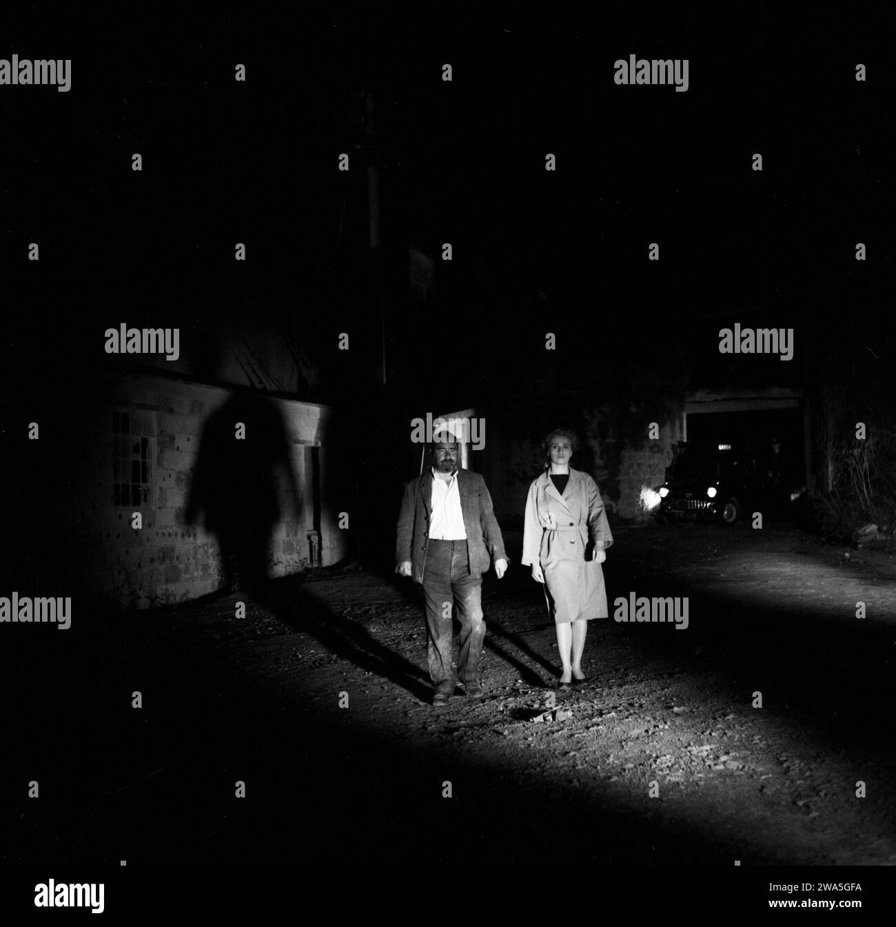 Schwarze schaf Black and White Stock Photos & Images - Alamy