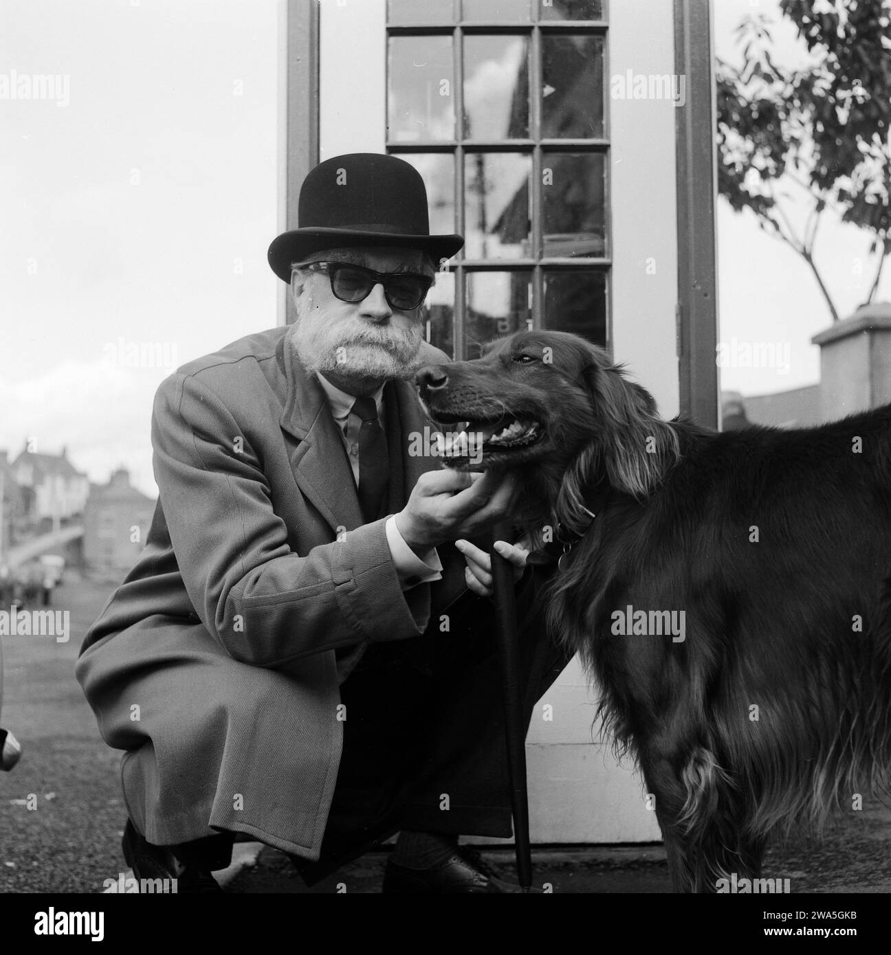 Das schwarze Schaf, Kriminalkomödie, Deutschland 1960, Regie: Helmuth ...