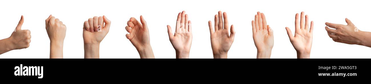 Different hand gestures, signs, symbols set. Taking, holding, showing ...