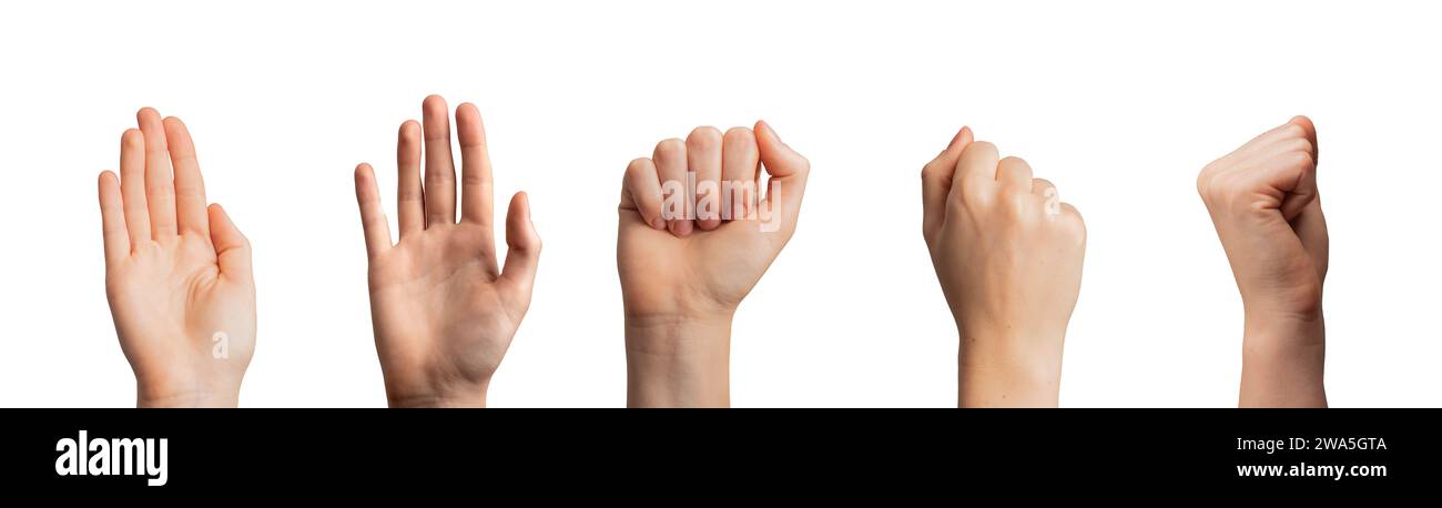 Hand gesture, greeting signs with palm waving hi and fists raised up ...