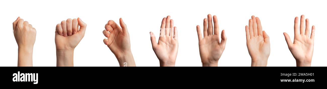 Hand gestures, greeting hi, fist up, hold, palm and clenched fingers set. Arm sign isolated on ...