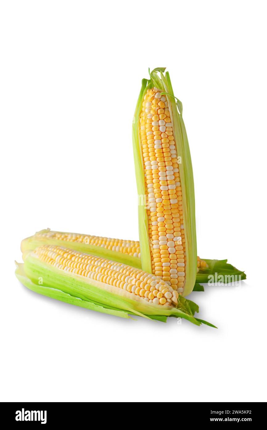 Fresh corn isolated on white background. Sweetcorn Stock Photo - Alamy