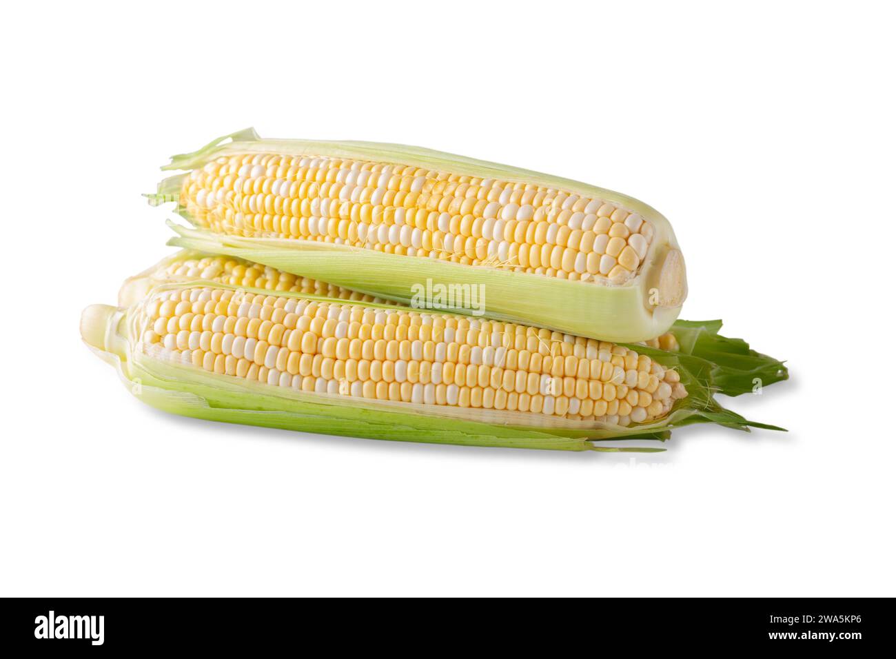 Fresh corn isolated on white background. Sweetcorn Stock Photo - Alamy