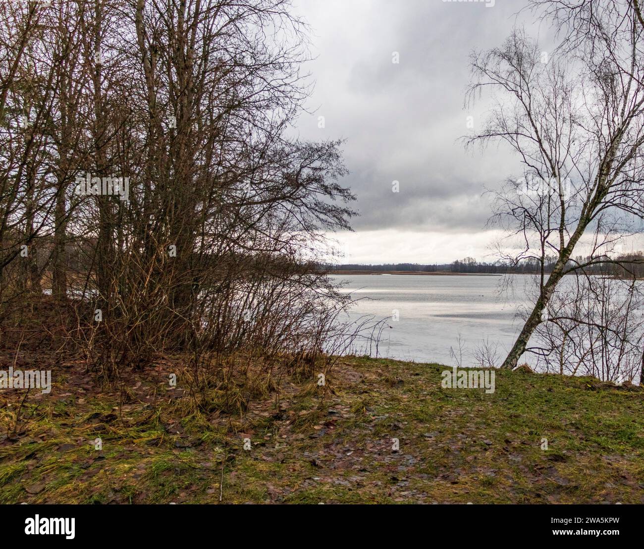Landscape shot of the lake during cold season Stock Photo - Alamy