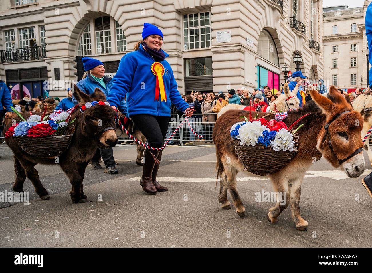 London, UK. 1st Jan, 2024. Marching Band Donkey Breed Society - The ...