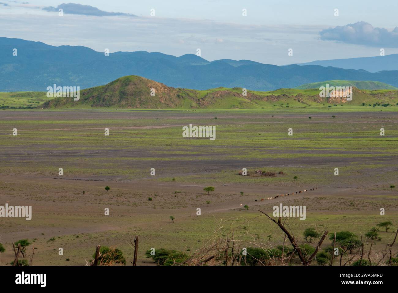 Rift valley tanzania mountain hi-res stock photography and images - Alamy