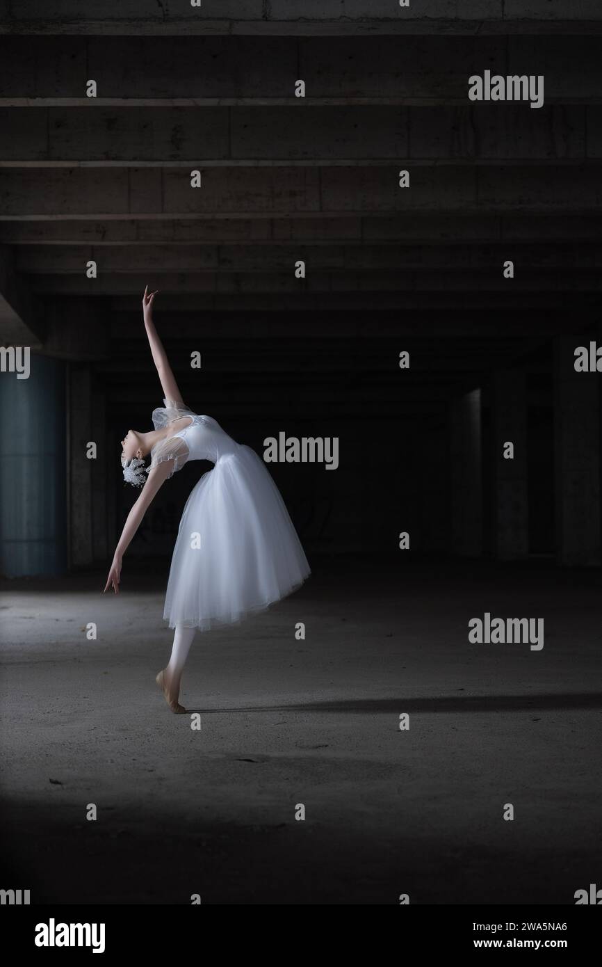 Beautiful dancer dancing ballet, taken in studio, high quality images ...