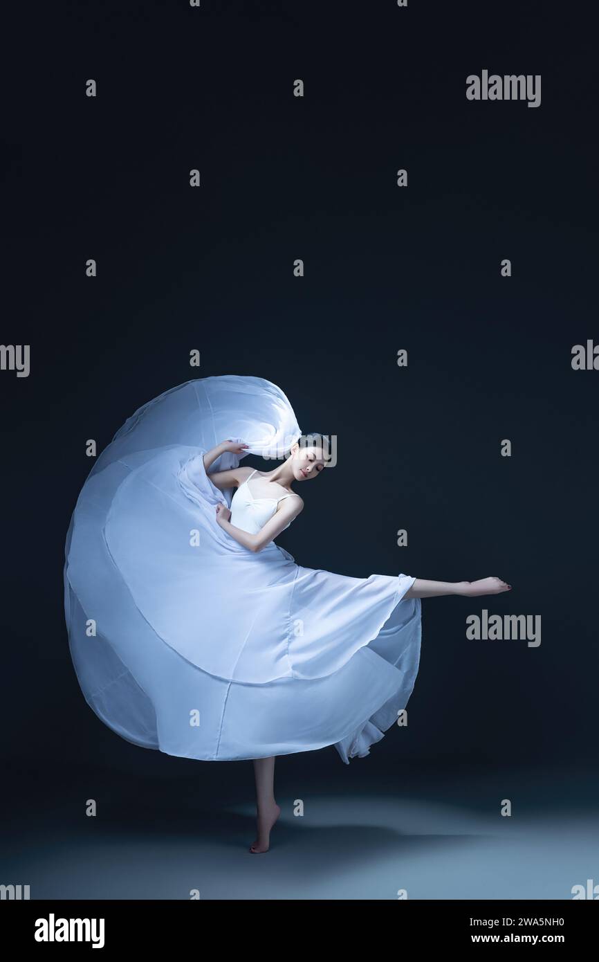 Beautiful dancer dancing ballet, taken in studio, high quality images ...