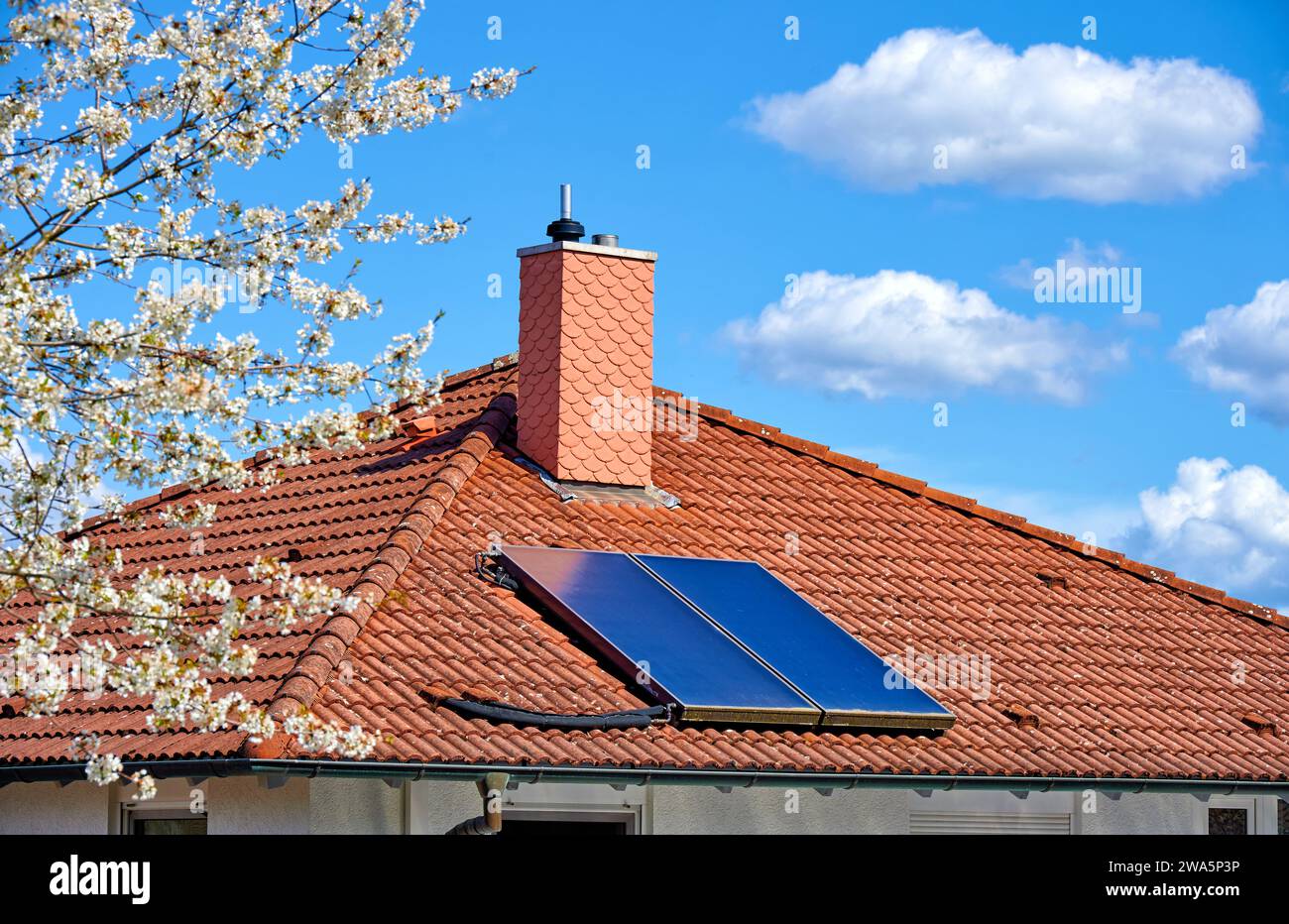 Solar thermal collector on a red hipped roof next to a blossoming ...