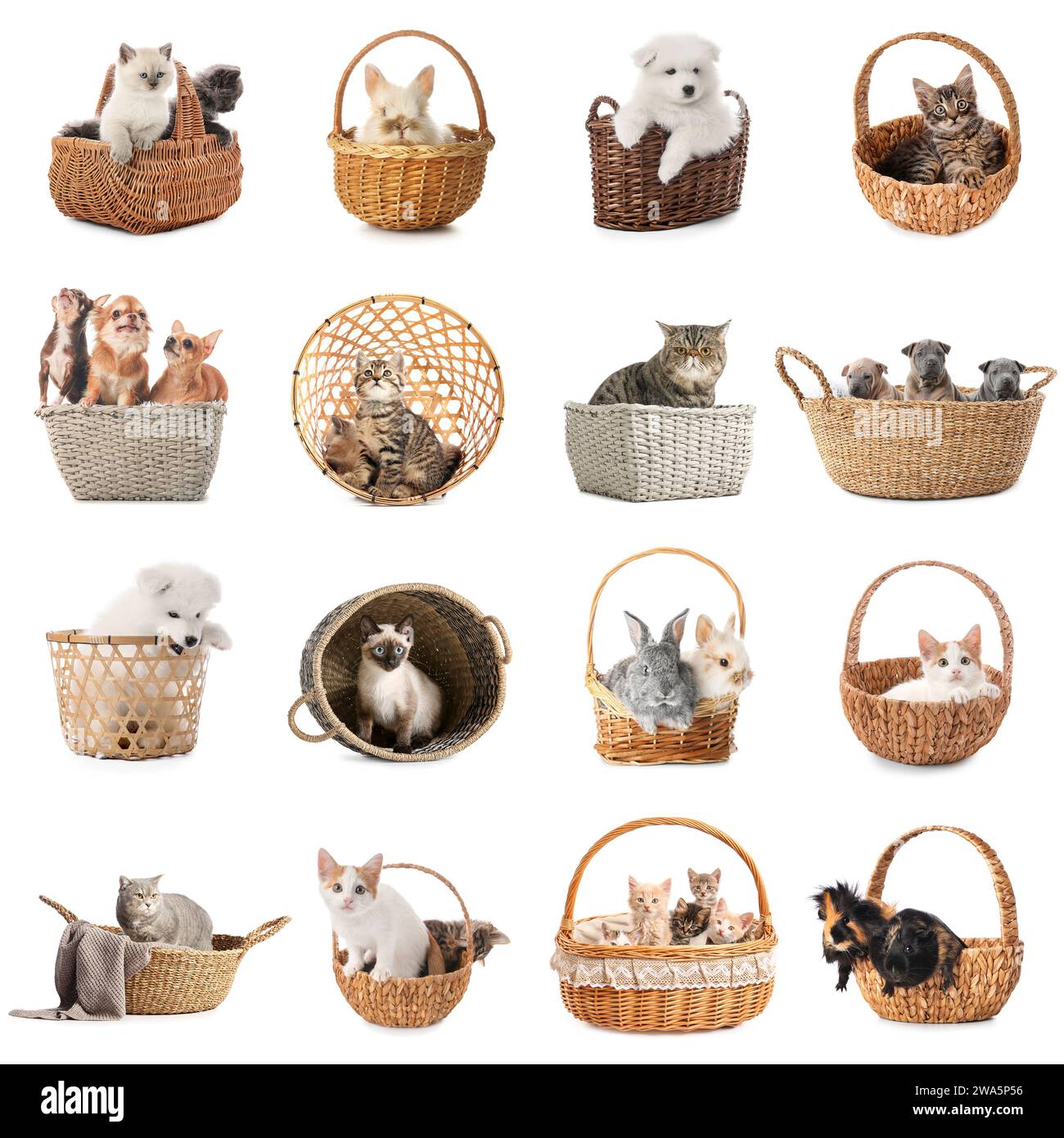 Set of many cute domestic animals in wicker baskets on white background ...
