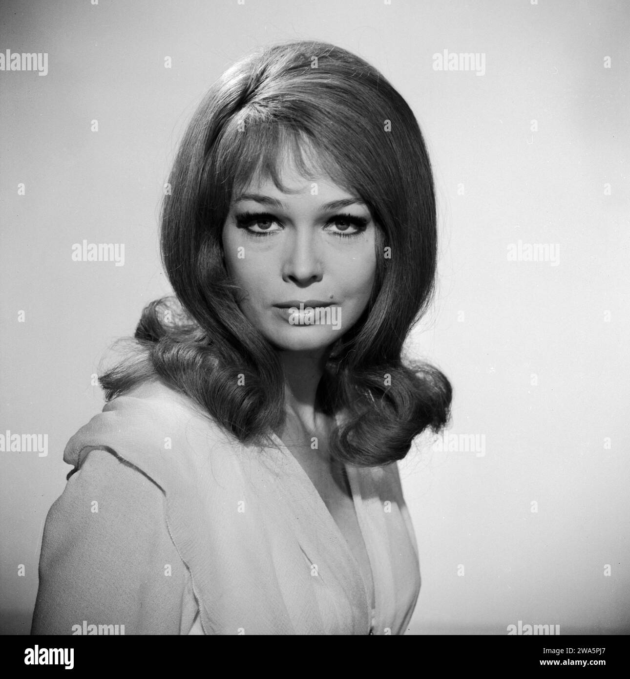 Teri terry hi-res stock photography and images - Alamy