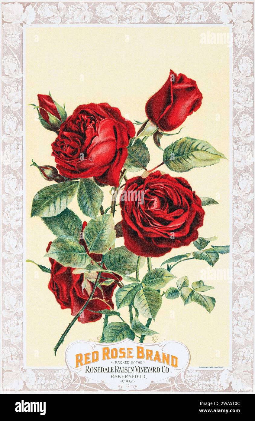 Rose brand hi-res stock photography and images - Alamy
