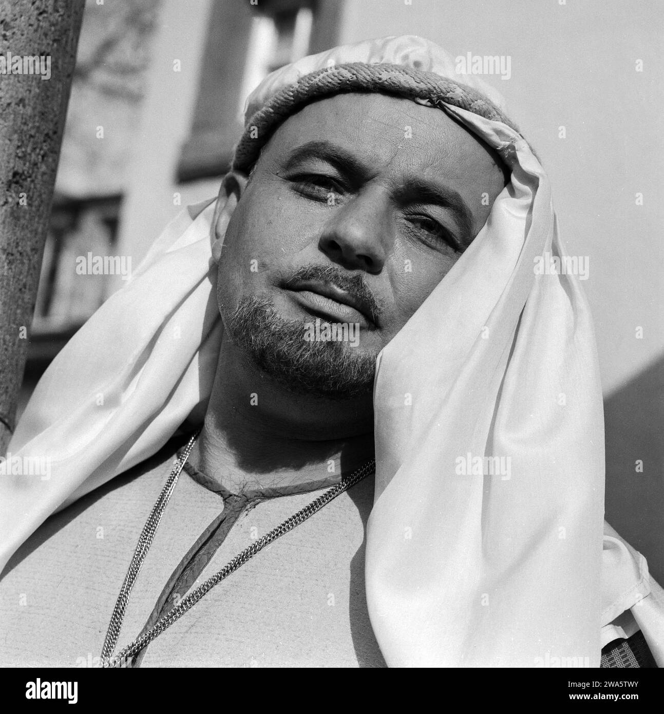 Crazy - total verrückt, aka Rudi lass das Mausen sein, Spielfilm ...