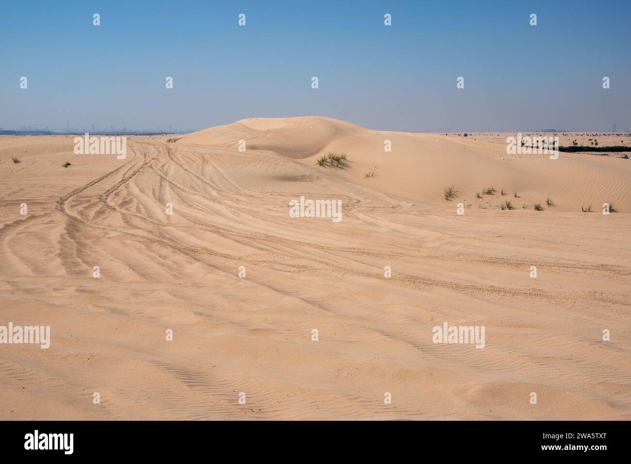 Al Qudra camels empty quarter seamless desert sahara in Dubai UAE ...