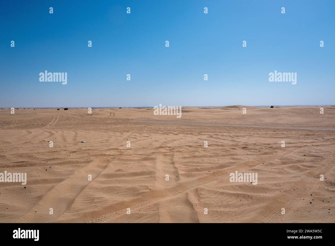 Al Qudra camels empty quarter seamless desert sahara in Dubai UAE ...