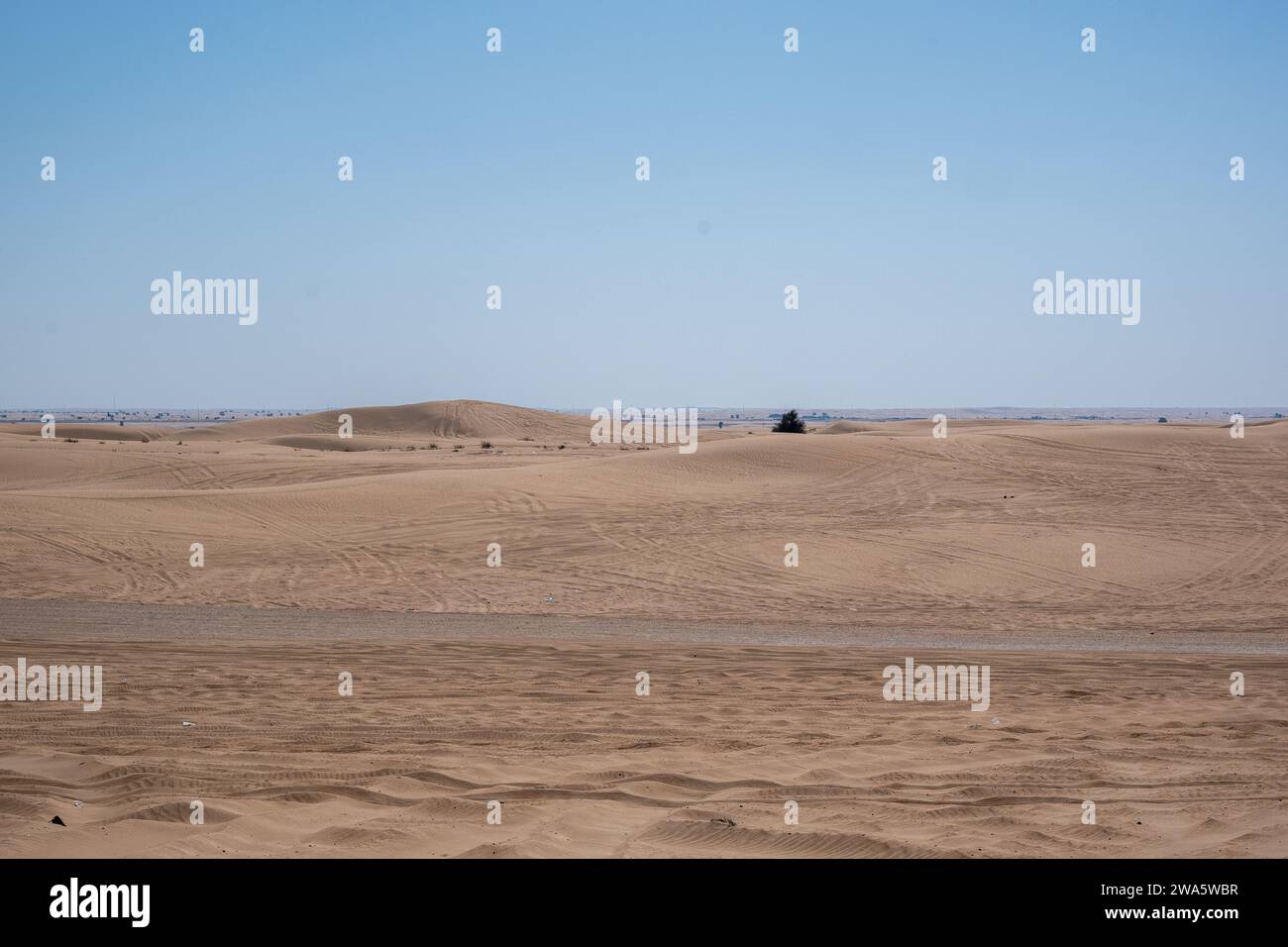 Al Qudra camels empty quarter seamless desert sahara in Dubai UAE ...