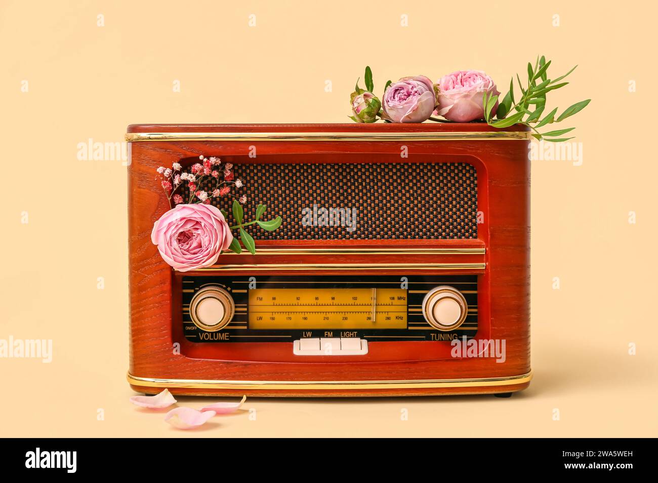 Retro radio beautiful flowers hi-res stock photography and images - Alamy