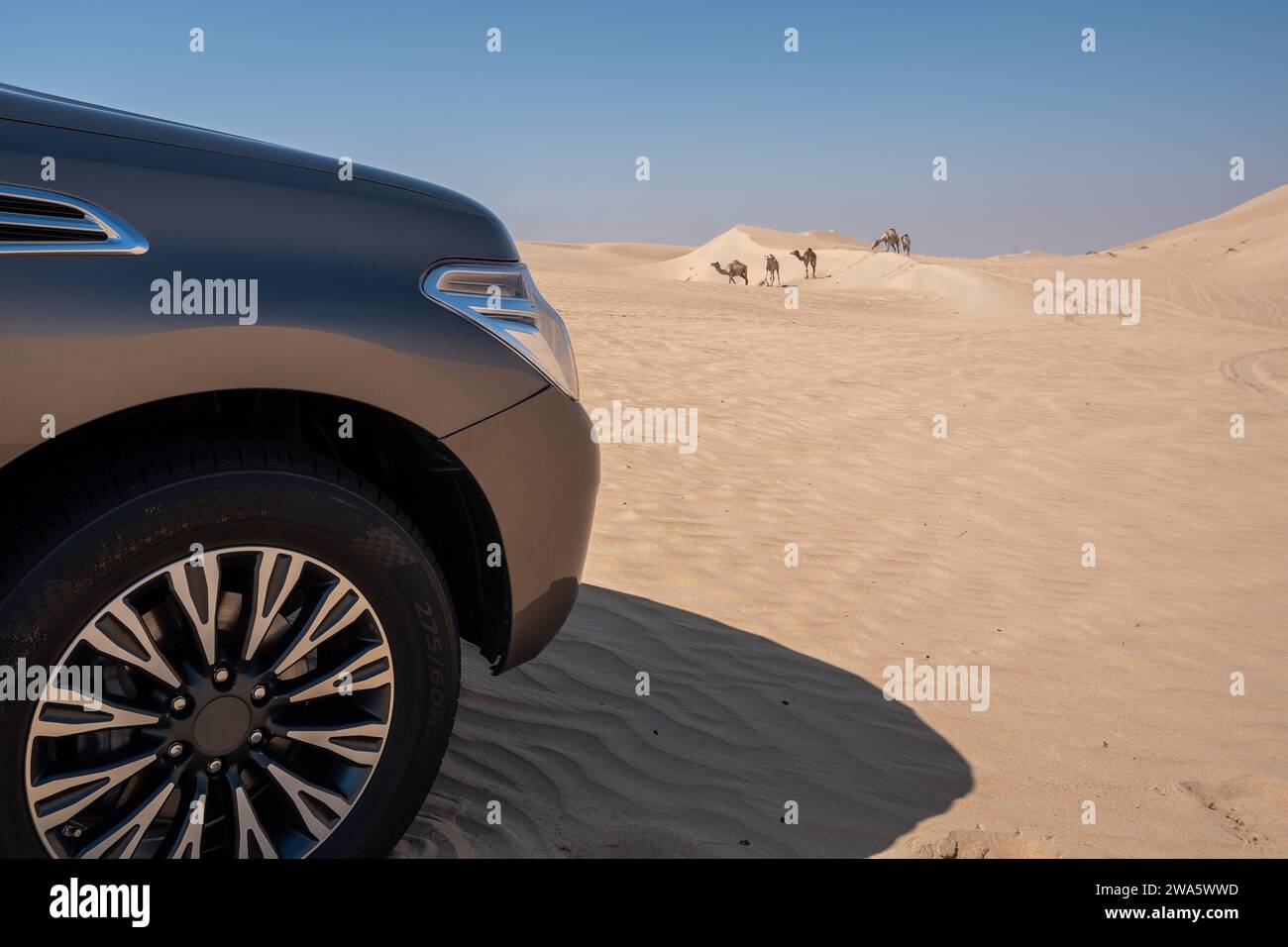 Dubai dunes car hi-res stock photography and images - Alamy