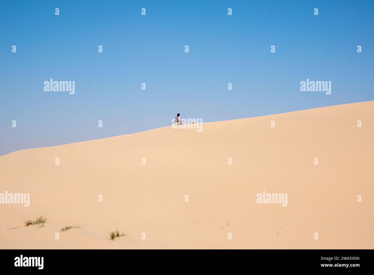 Al Qudra camels empty quarter seamless desert sahara in Dubai UAE ...