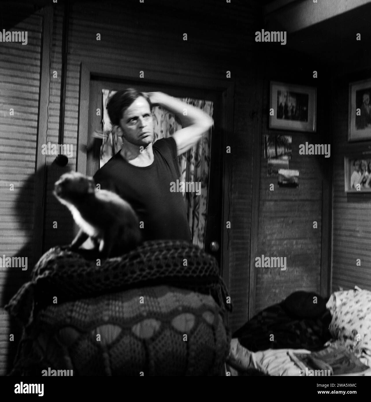 Wartezimmer zum Jenseits, Kriminalfilm nach dem Roman "Mission to Siena ...