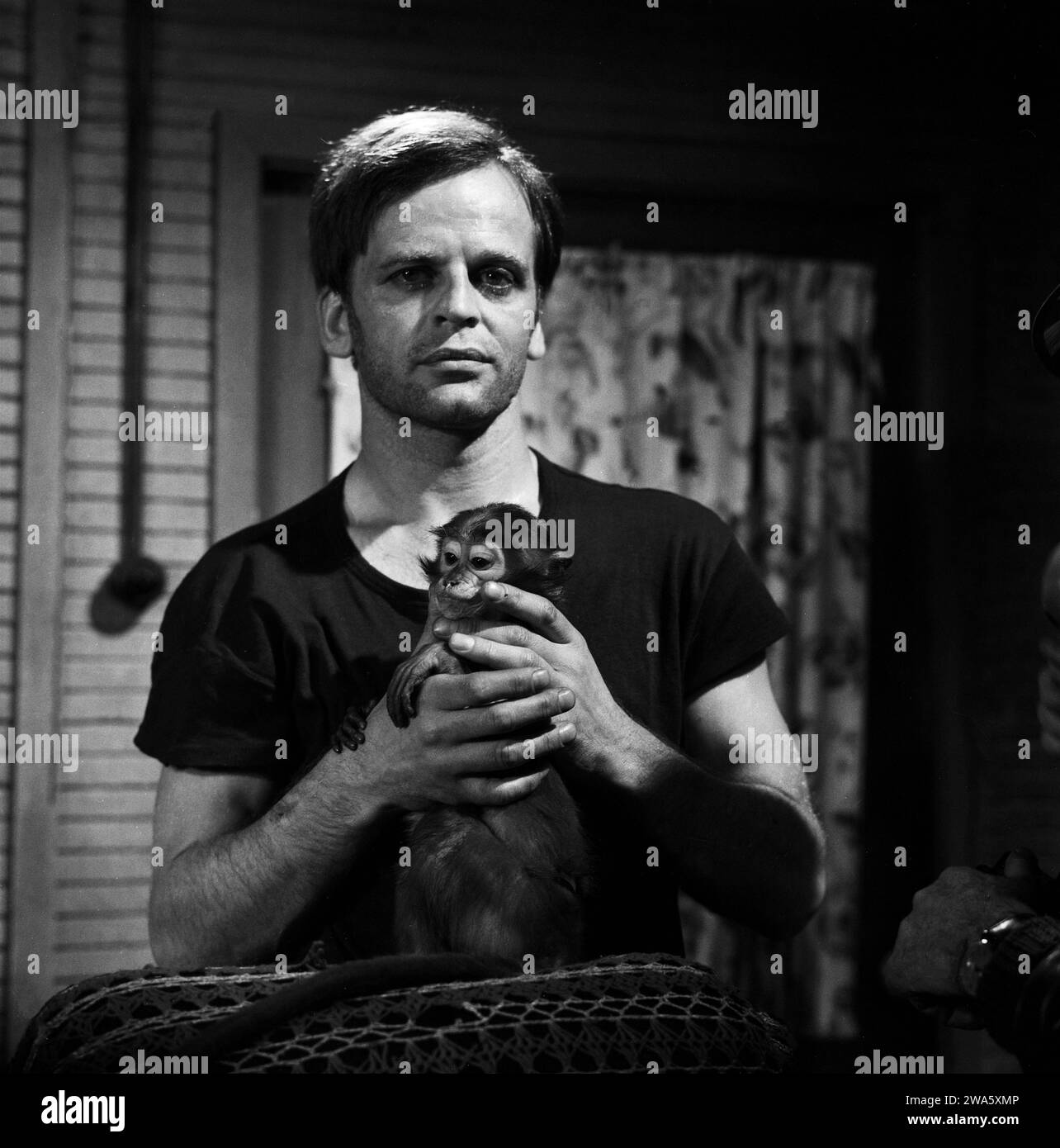 Klaus kinski crime hi-res stock photography and images - Alamy