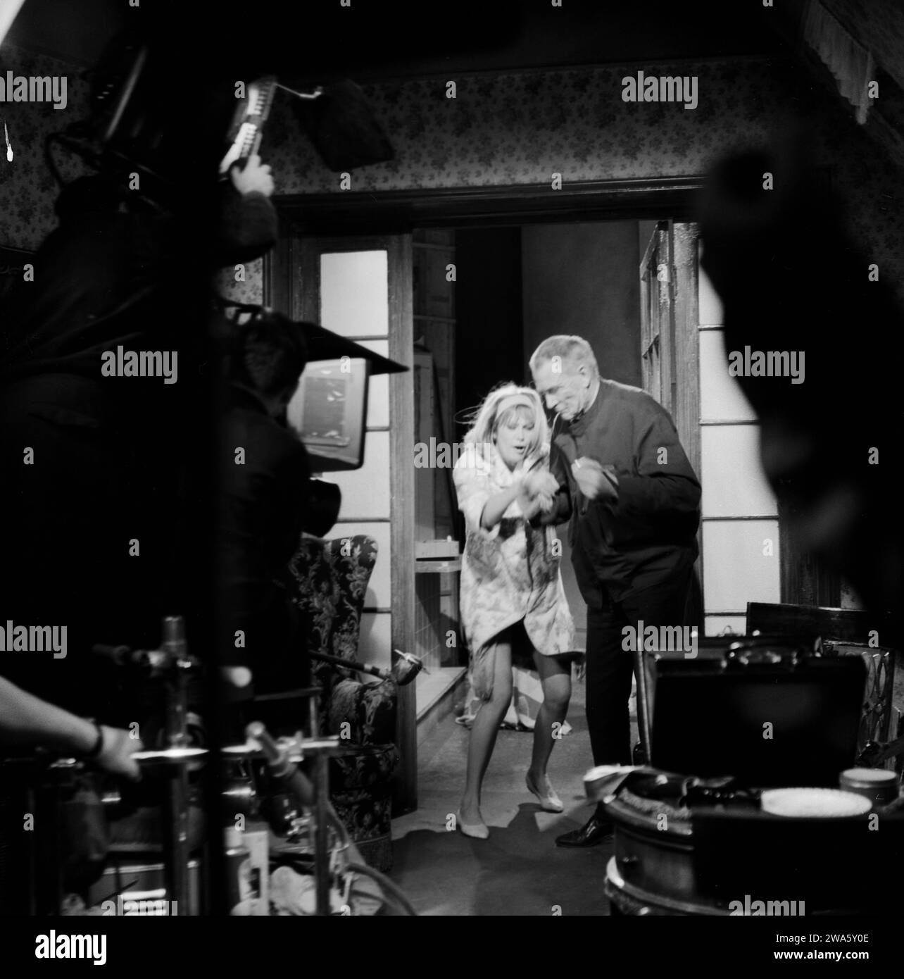 Wartezimmer zum Jenseits, Kriminalfilm nach dem Roman "Mission to Siena ...