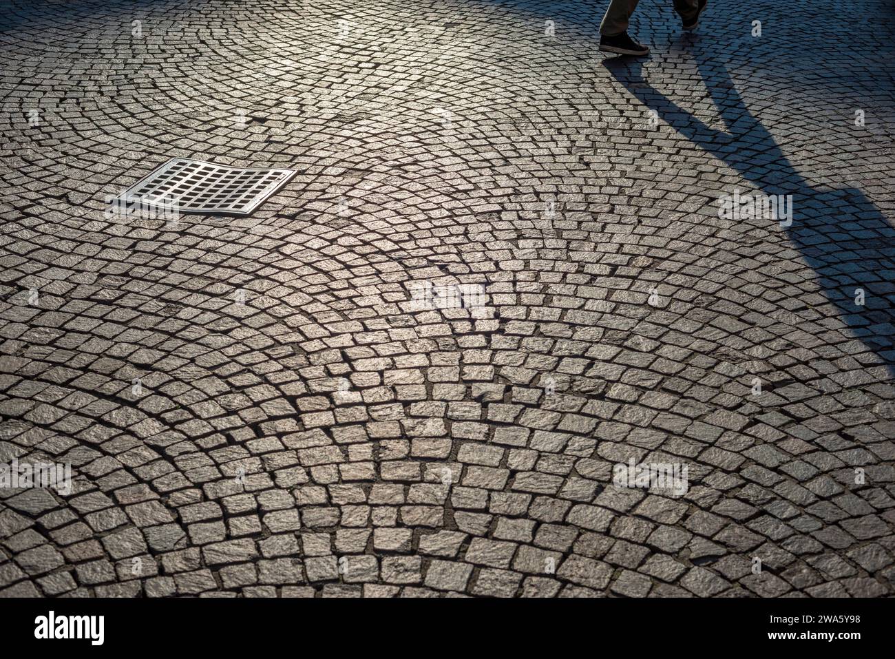 scenic cobblestone pavement by sunny morning in Milan with pedestrian ...