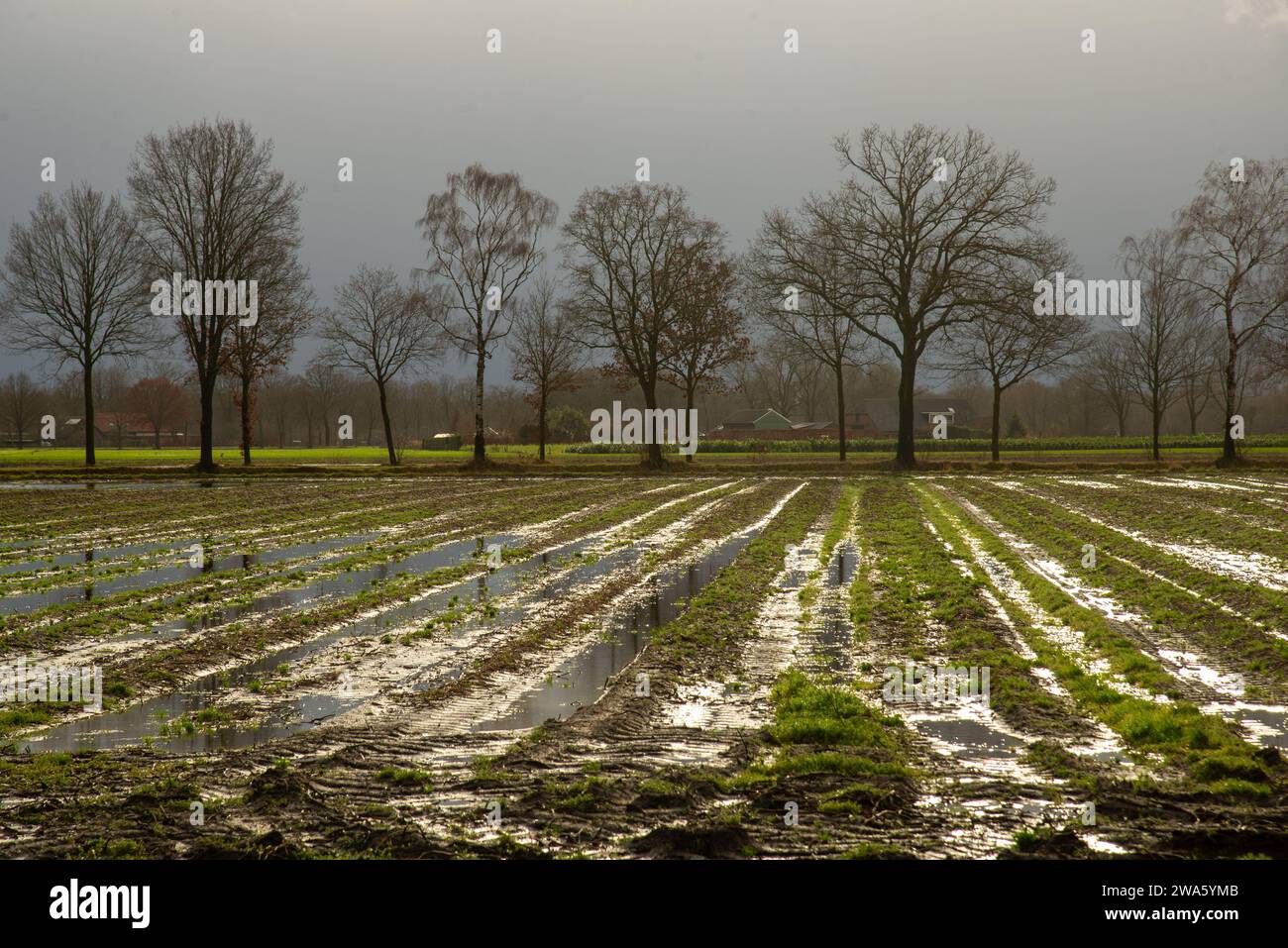 Flooded farmland fields in rain hi-res stock photography and images - Alamy