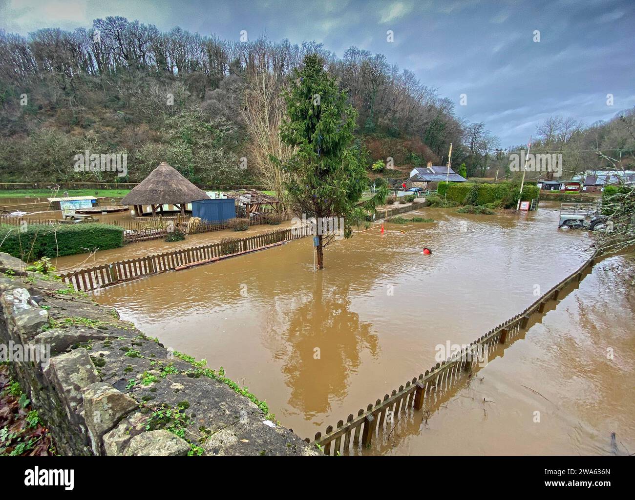 Swansea, UK. 02nd Jan, 2024. The Christmas tree outside the Gower ...