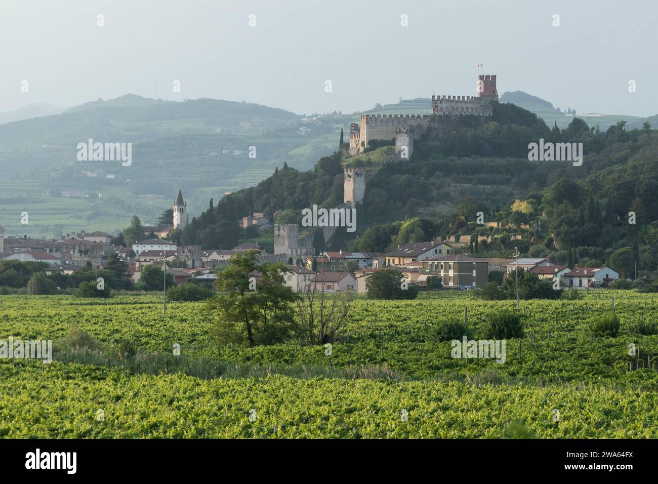 Gothic Mura scaligere di Soave (Scaliger Walls of Soave) built in XIV ...