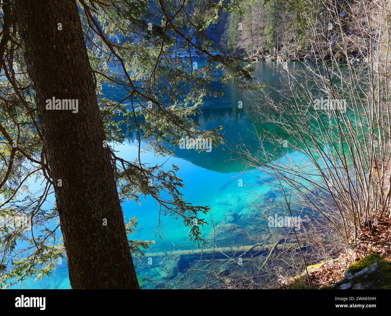 Very transparent water of the alpine lake and you can even see the ...