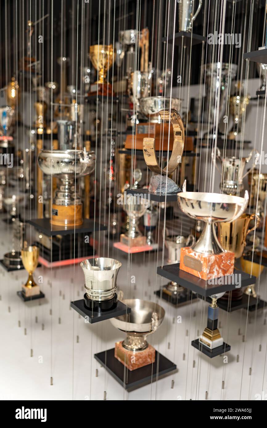 Demonstration of historical achievements in sports. A large number of ...