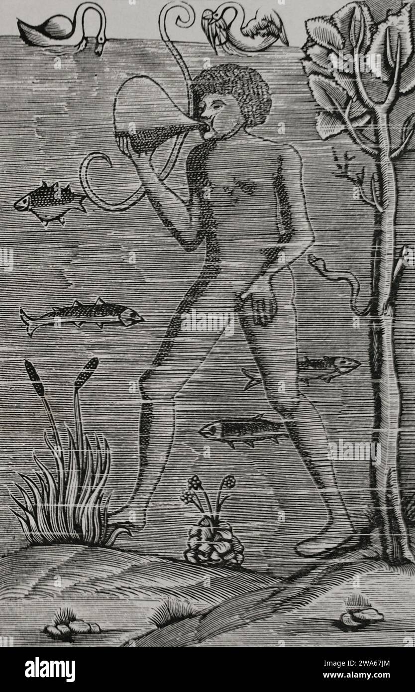 Medieval diver using bladder to breath. Facsimile of an engraving from ...