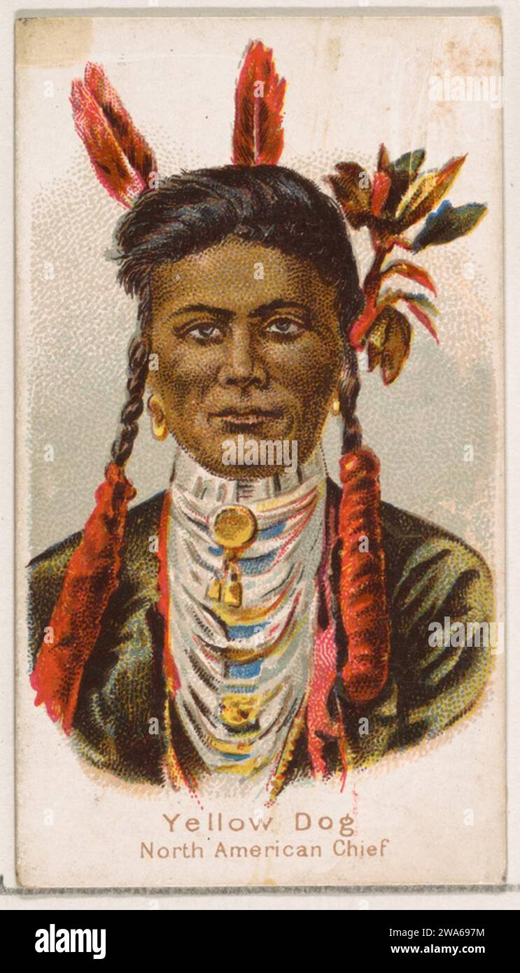 Chief yellow dog hi-res stock photography and images - Alamy