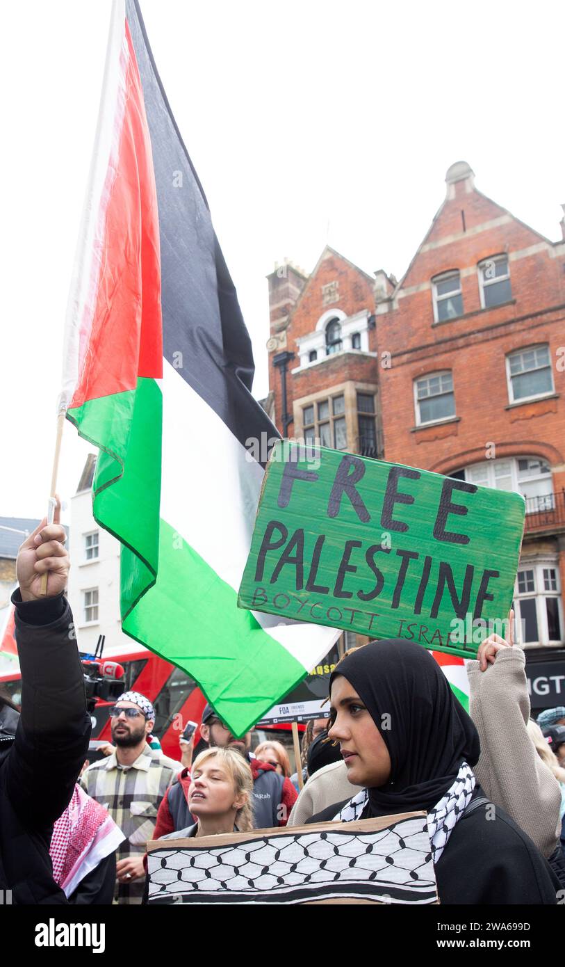 Pro-Palestinian protesters gather with flags and placards during a ...