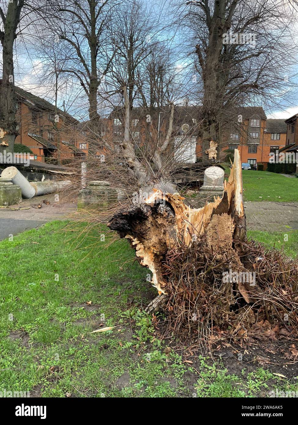A tree blown over by the wind and crashed into the portico, knocking it ...