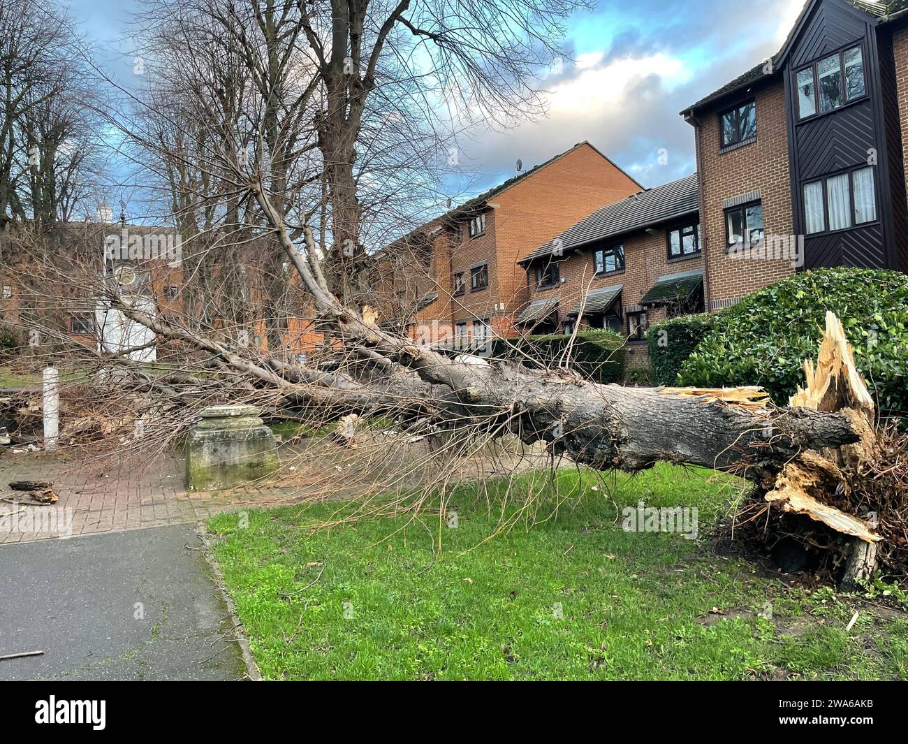 A tree blown over by the wind and crashed into the portico, knocking it ...