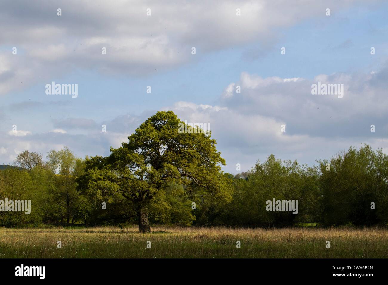 Oxforshire hi-res stock photography and images - Alamy