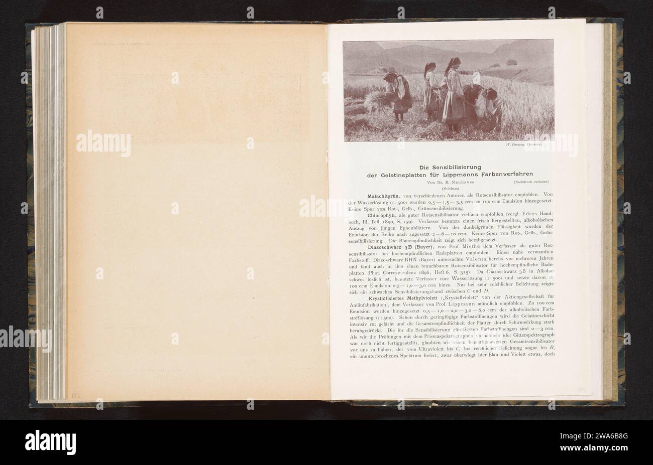 Wheat farmers 1900 hi-res stock photography and images - Alamy