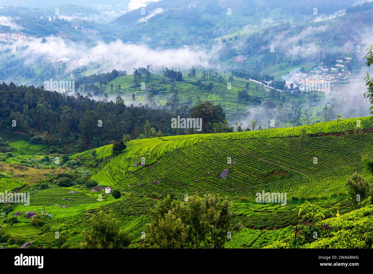 Natureisspeaking hi-res stock photography and images - Alamy