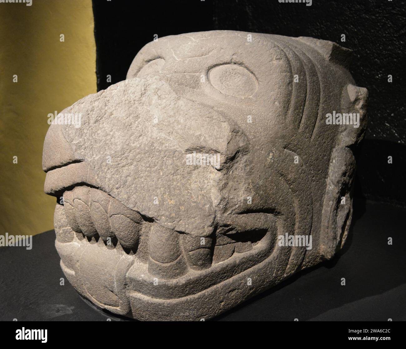 Xolotl God, Duplicity God. Templo Mayor Museum in Mexico City Stock ...